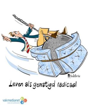 Cartoon Iedereen verandert - Boom Management