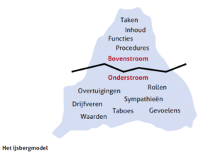 Onderstroom, groepsdynamiek en teamontwikkeling - Boom Management