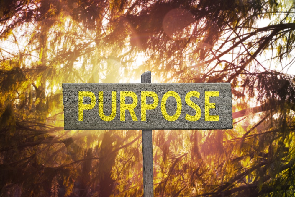 Laten we het eens hebben over het purpose van mediavaktaal (longread ...