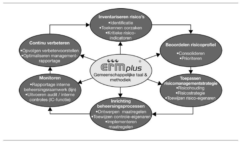 Het risicomanagementproces: zo richt je het in - Boom Management