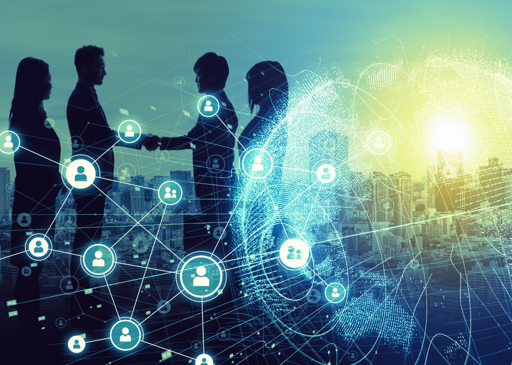 Leren werken in netwerken - Boom Management