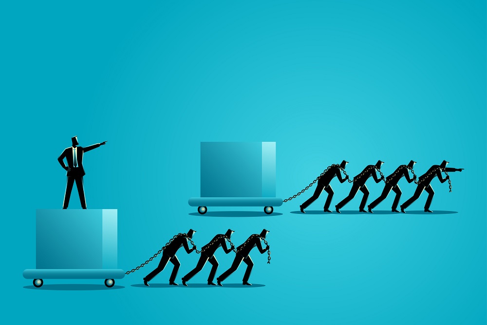 De misvatting: de leider is ook de baas - Boom Management