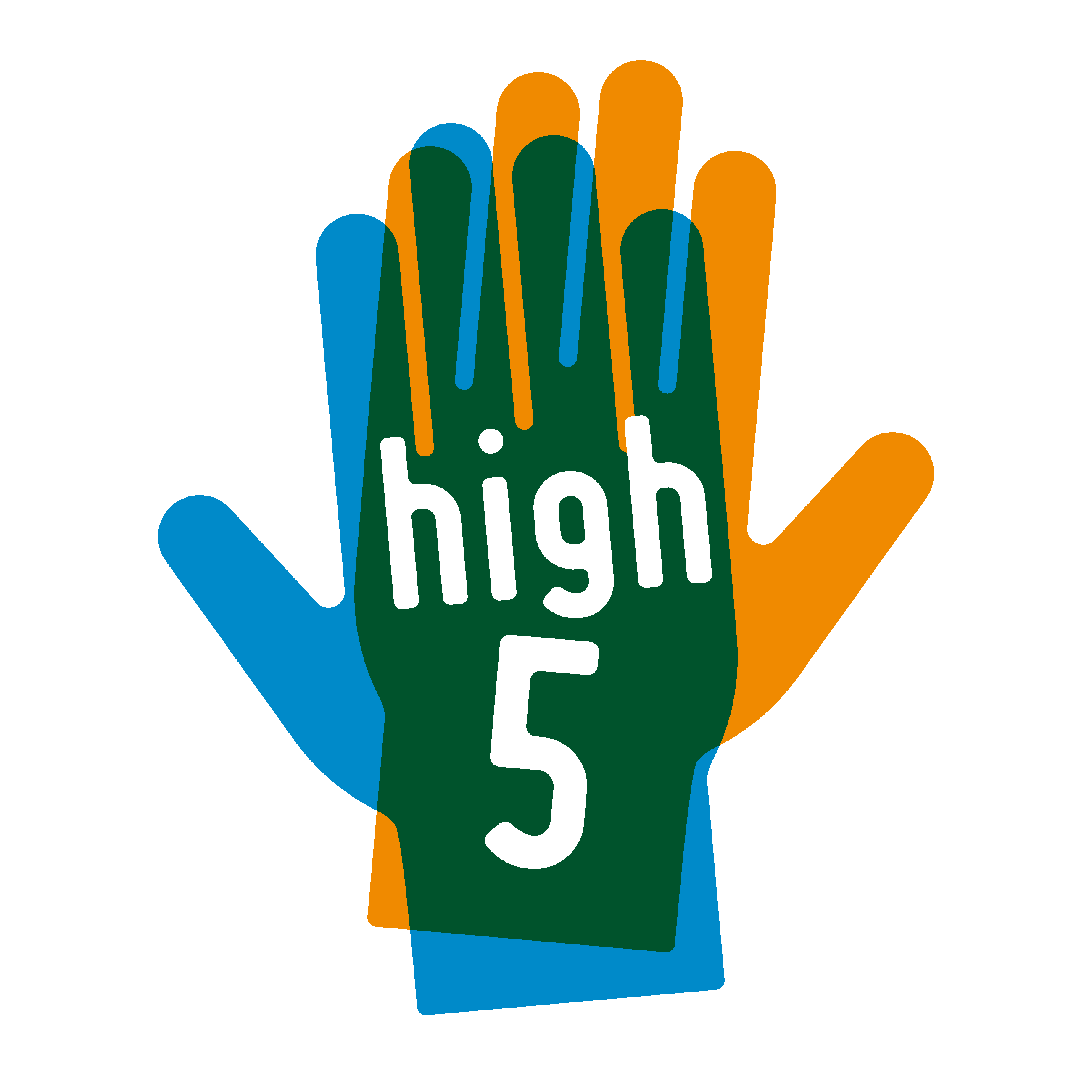 Risicomanagement in het MUMC+: High5 voor veiligheid - Boom Management