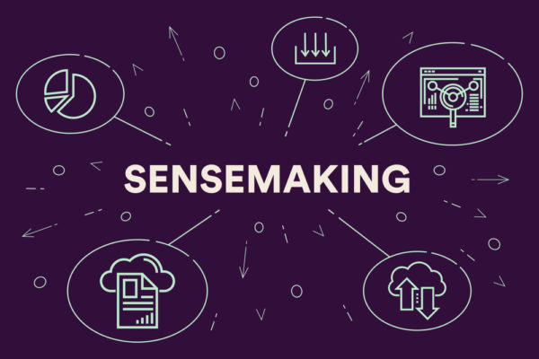 Sensemaking: wat is hier aan de hand? - Boom Management