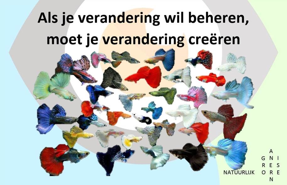 Als je verandering wil beheren, moet je verandering creëren - Boom ...