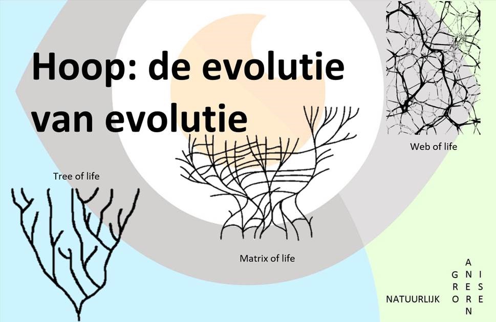 Hoop: De evolutie van evolutie - Boom Management
