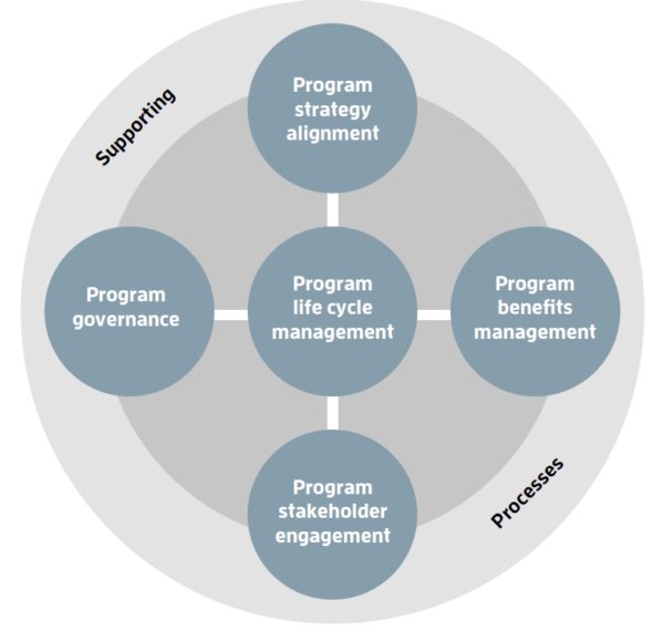 Programmamanagement: verschillende benaderingen, dezelfde kerngedachte ...