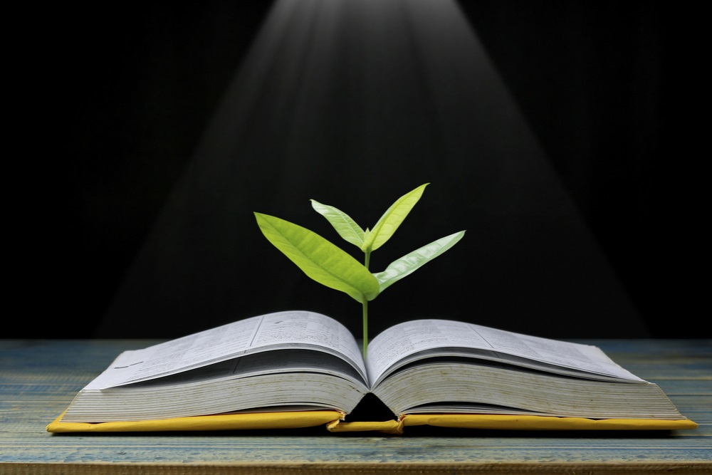 Tips voor leren, groeien, presteren in organisaties - Boom Management