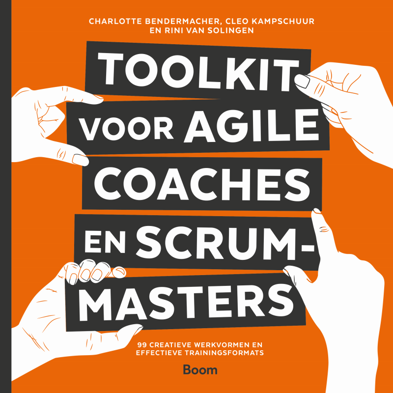 Wat doet een programmamanager? - Boom Management