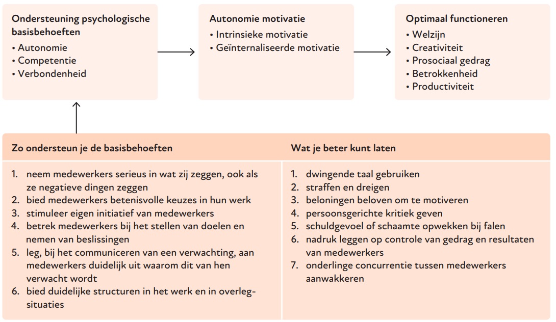 De zelfdeterminatietheorie: energie voor progressie - Boom Management