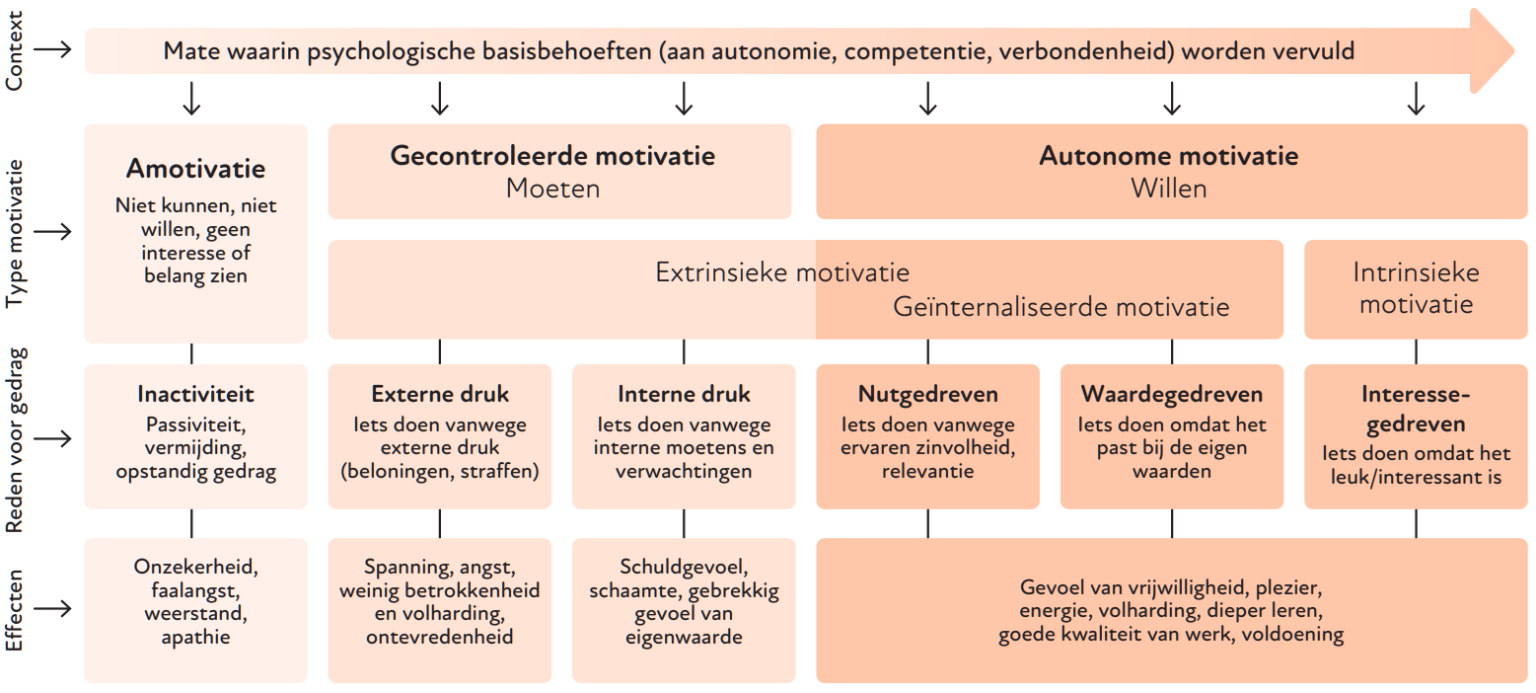 De zelfdeterminatietheorie: energie voor progressie - Boom Management