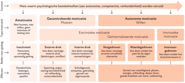 De zelfdeterminatietheorie: energie voor progressie - Boom Management