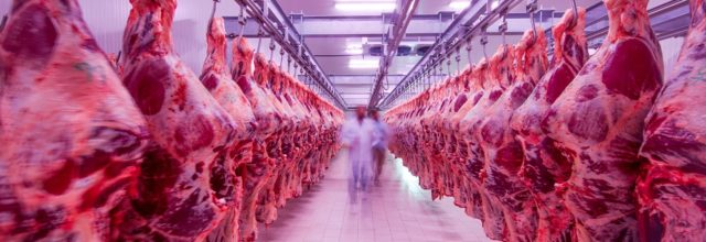 Da's gek: Ontzielde organisaties - Boom Management