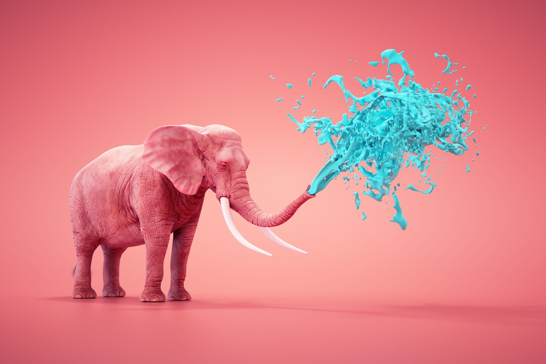 Minicursus antropologie: de roze olifant in de kamer - Boom Management