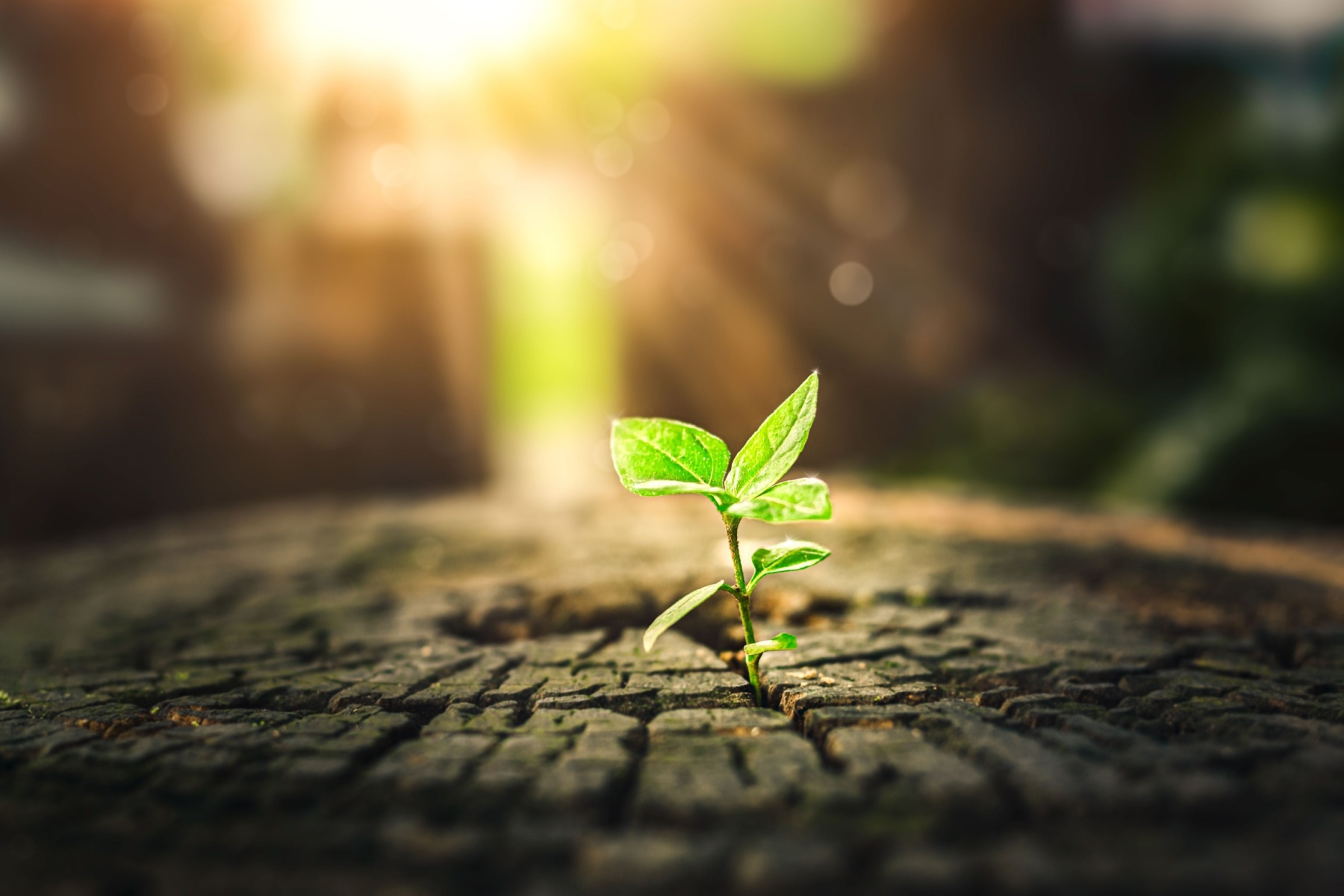 Motivatie is nauw verbonden met hoop - Boom Management