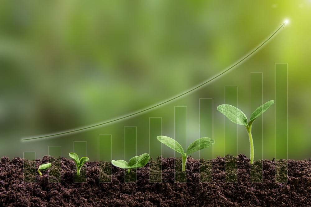 Hoe overleef je de groeifasen van je bedrijf? Deel 1 - Boom Management