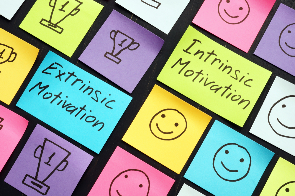 Motivatie: de Zelf Determinatie Theorie (ZDT) - Boom Management